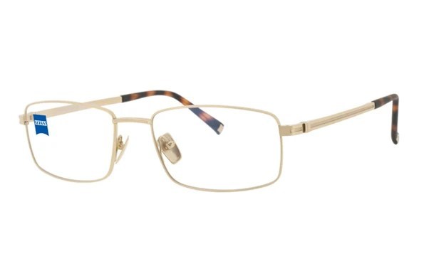 Оправа Carl Zeiss ZS-40004 F010 - купить в оптике MasterGlasses